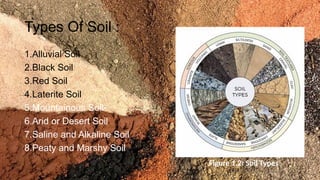 Types of Soil in India : Features and description | PPTX
