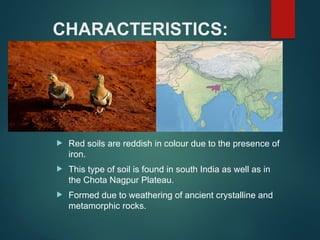 types of soil in india final.pptx BY VIKAS SIR SCIENCE | PPTX