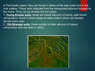 types of soil in india final.pptx BY VIKAS SIR SCIENCE | PPTX