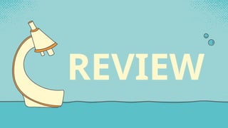 Types Of Solids Crystalline And Amorphous Solids Pptx