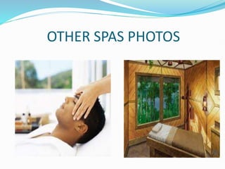 Types of Spa - Different Types of Spa in Hotels | PPTX