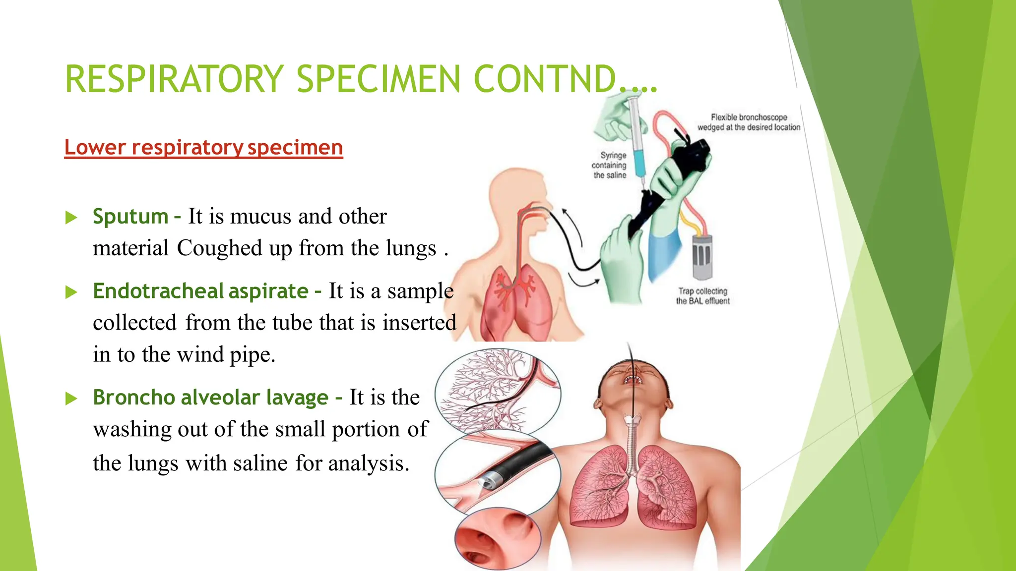 Types of Specimen collection.pdf