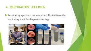 Types of Specimen collection.pdf
