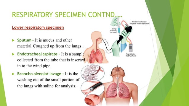 Types of Specimen collection.pdf