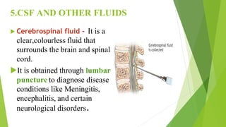 Types of Specimen collection.pdf