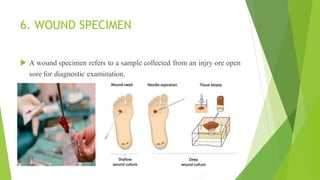 Types of Specimen collection.pdf