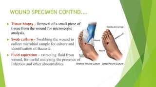 Types of Specimen collection.pdf