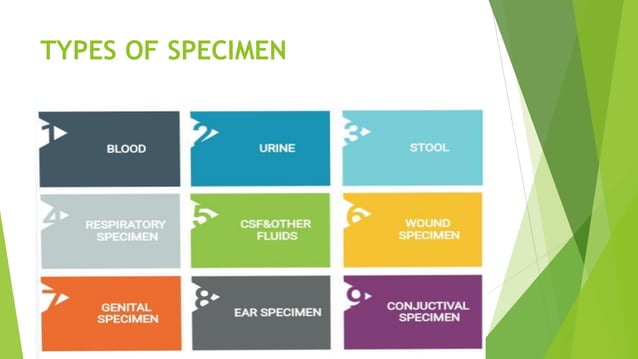 Types of Specimen collection.pdf