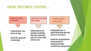 Types of Specimen collection.pdf