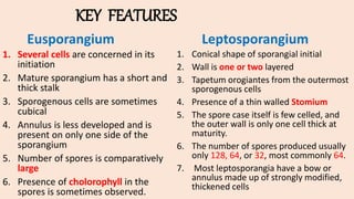 Types of sporangia and spores submitted by shreyasi dey.roll no 08, 2nd ...