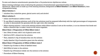 Types of staining- Principle and procedure | PPT