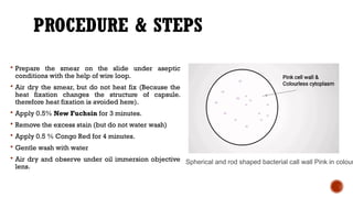 Types of staining- Principle and procedure | PPT