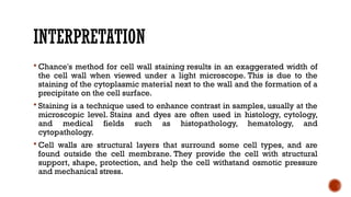 Types of staining- Principle and procedure | PPTX