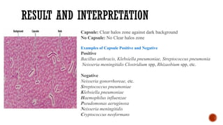 Types of staining- Principle and procedure | PPT