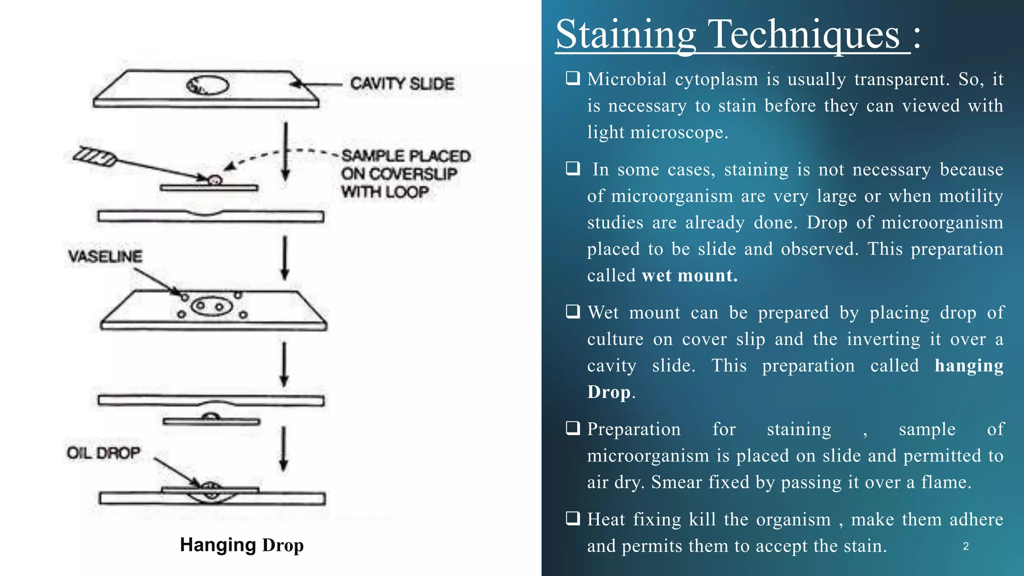 Types of staining techniques | PPTX | Chemistry | Science