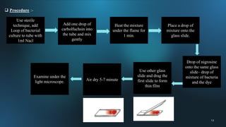 Types of staining techniques | PPTX | Chemistry | Science