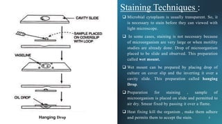 Types of staining techniques | PPTX | Chemistry | Science