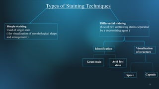 Types of staining techniques | PPTX | Chemistry | Science
