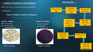 Types of staining techniques | PPTX | Chemistry | Science