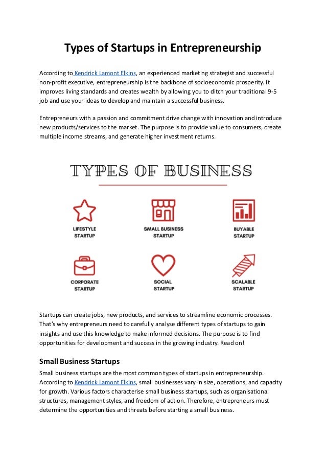 Types of Startups in Entrepreneurship | PDF
