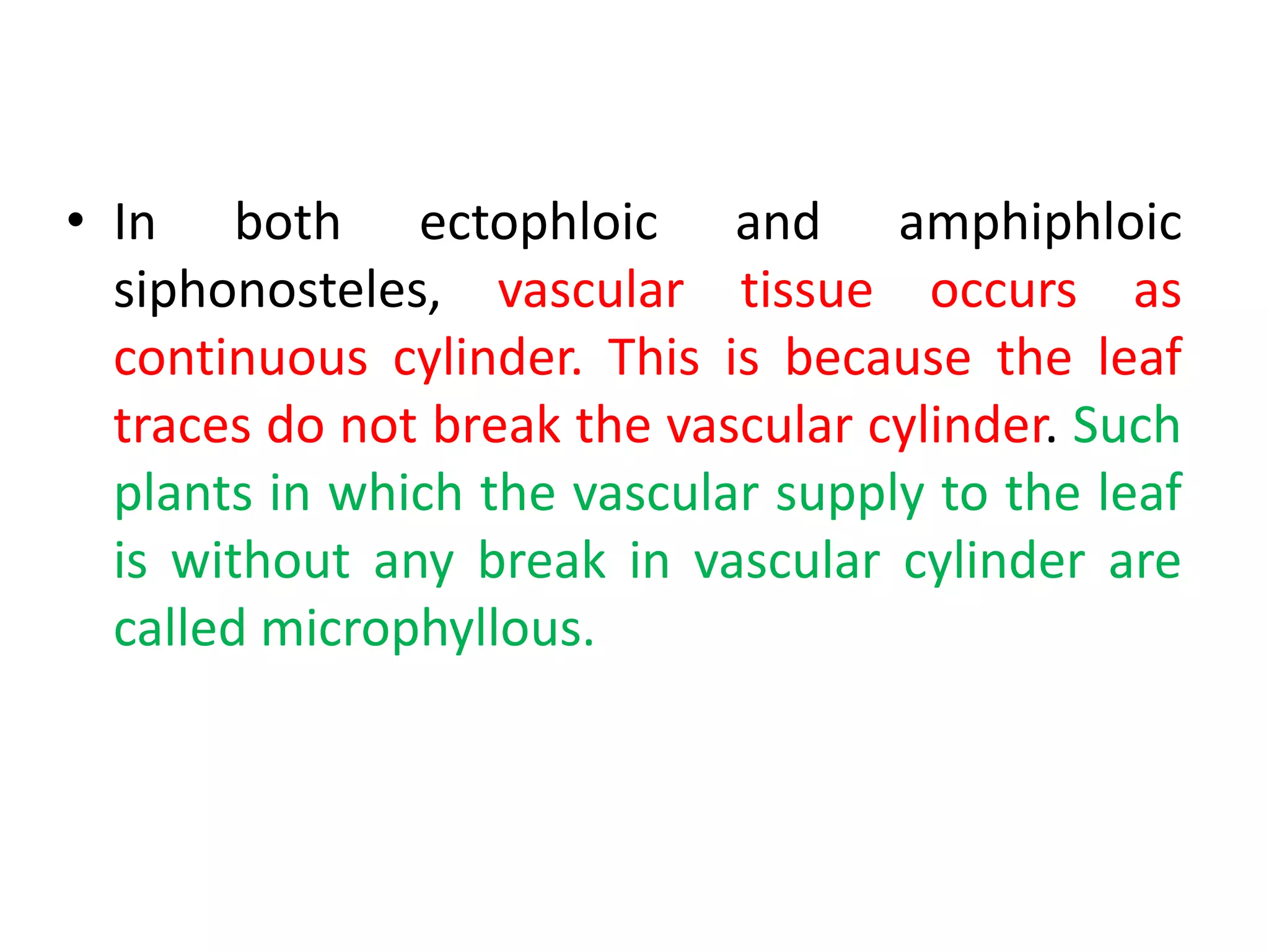 Types of stele and stelar evolution | PDF