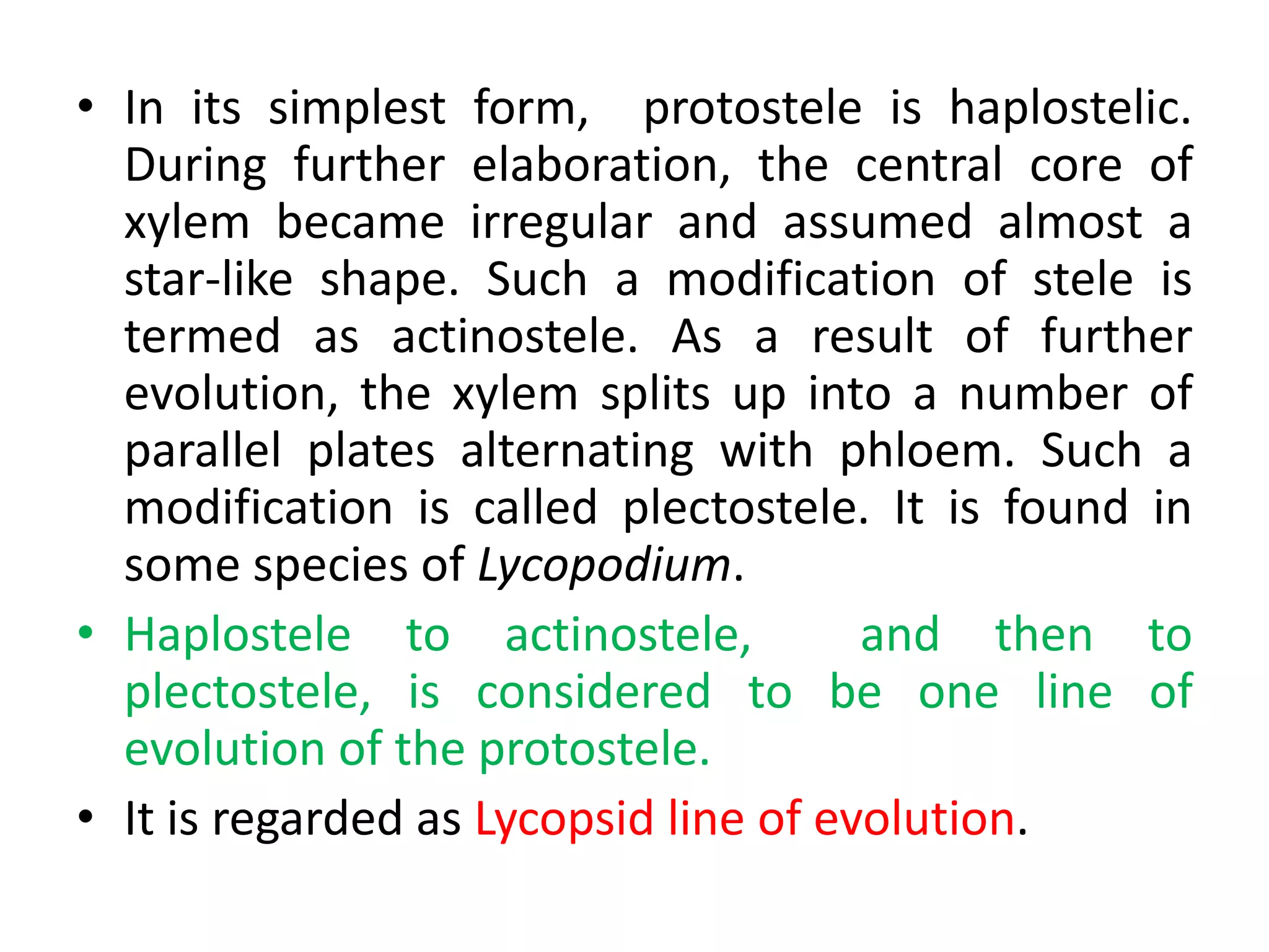 Types of stele and stelar evolution | PDF | Biological Sciences | Science