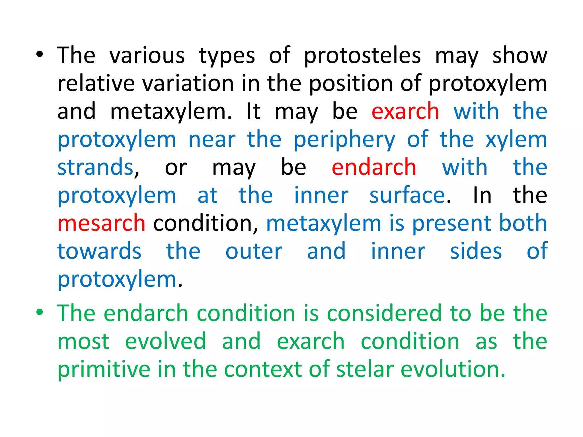 Types of stele and stelar evolution | PDF