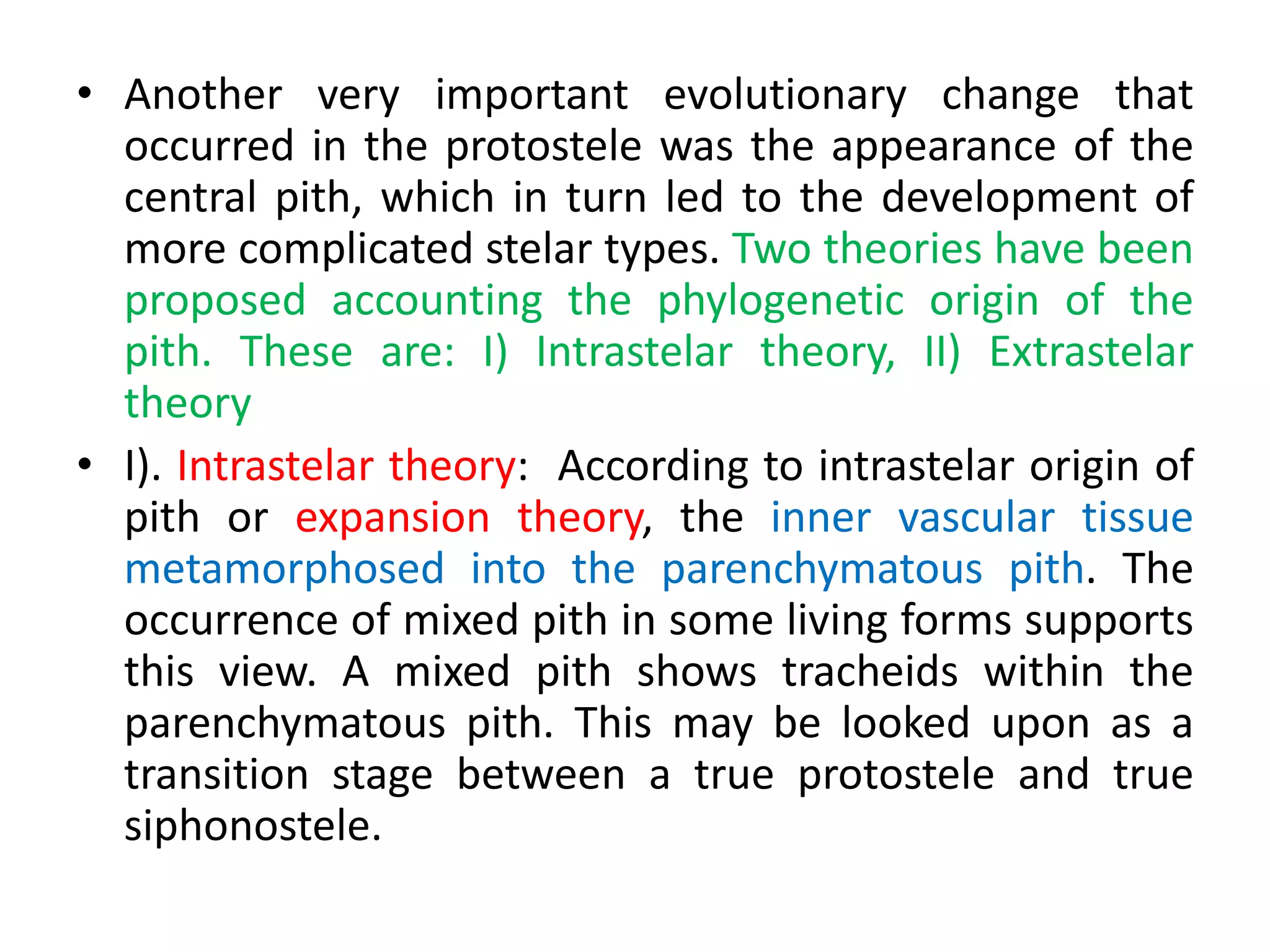 Types of stele and stelar evolution | PDF
