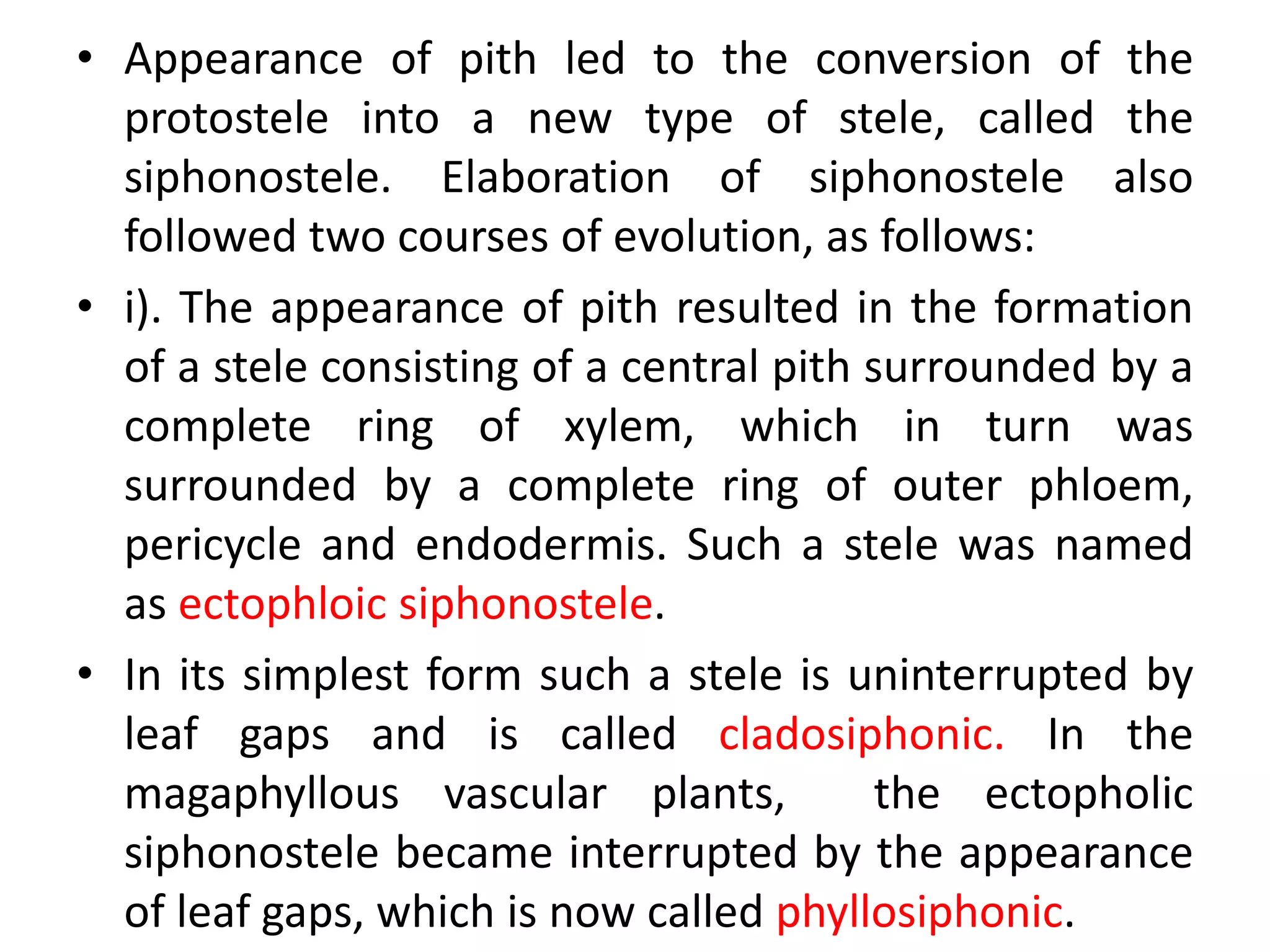 Types of stele and stelar evolution | PDF