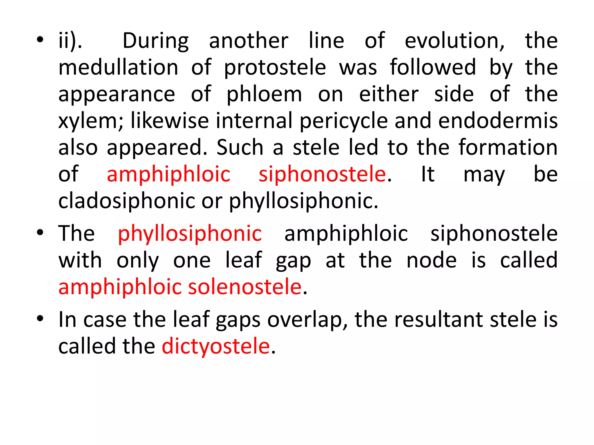 Types of stele and stelar evolution | PDF
