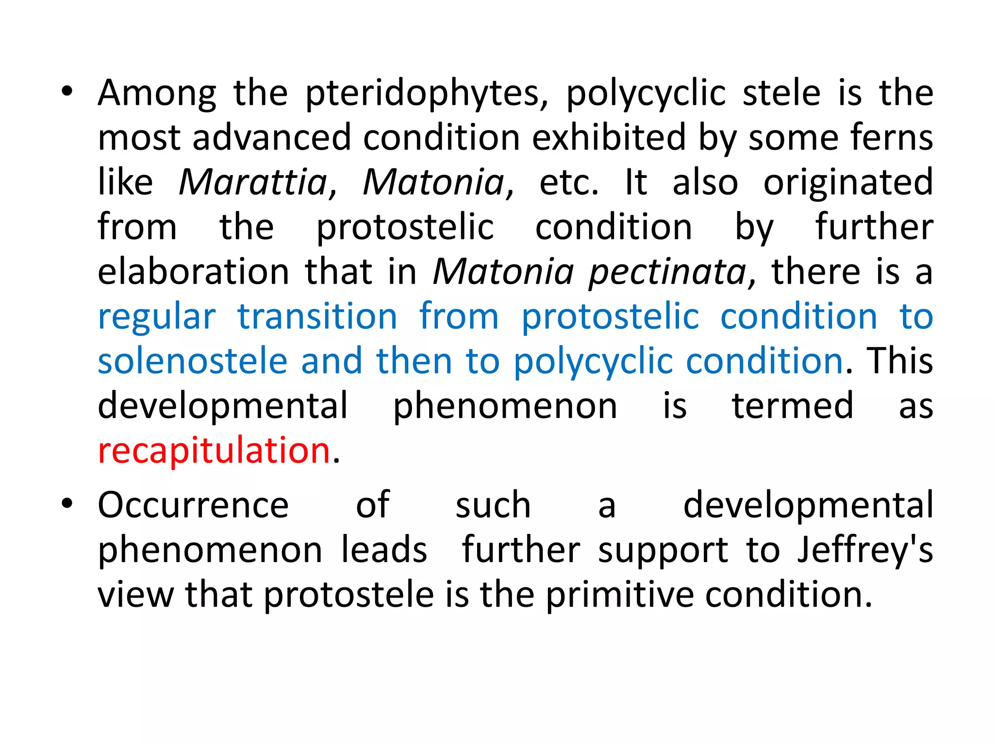 Types of stele and stelar evolution | PDF
