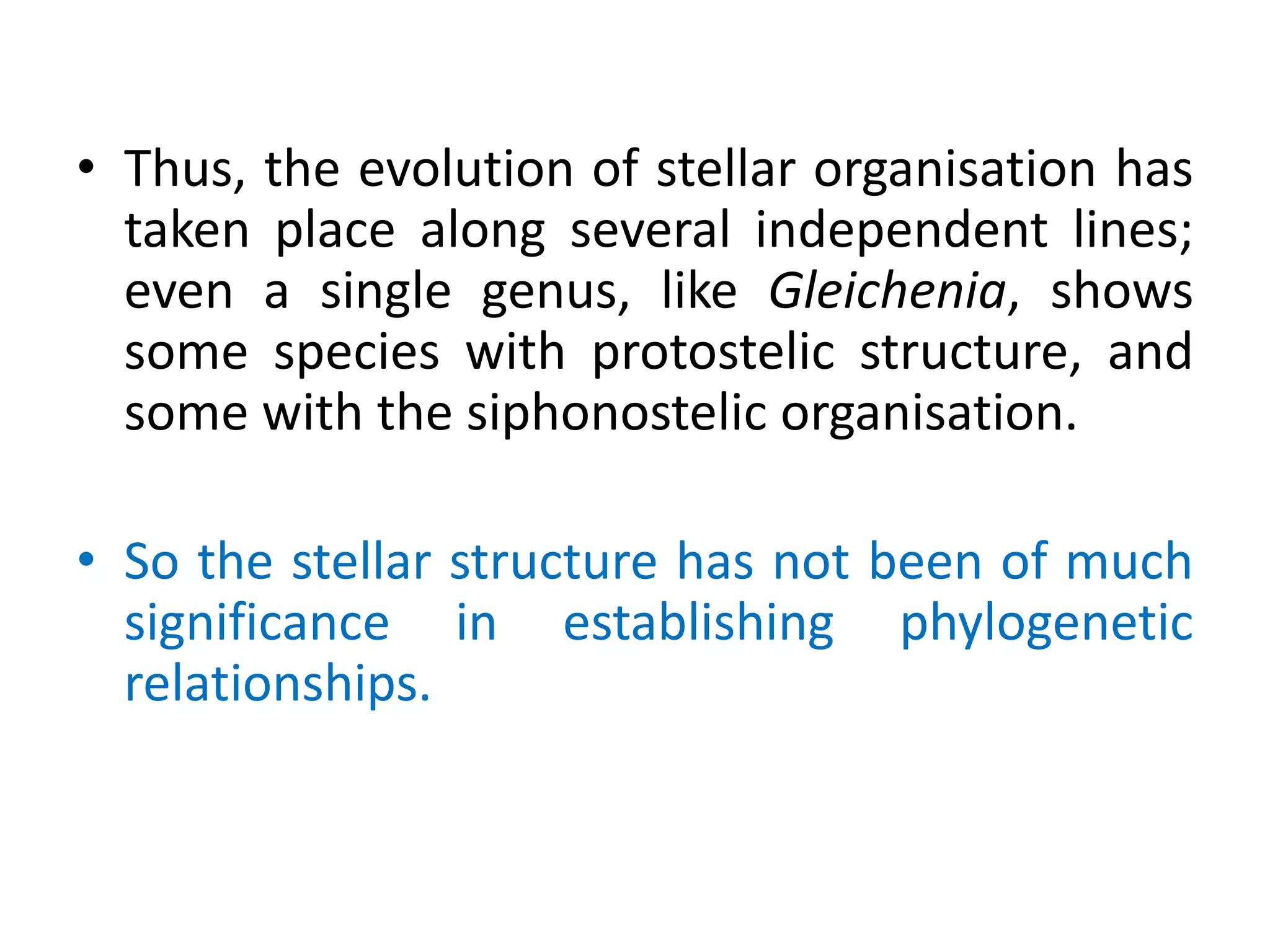 Types of stele and stelar evolution | PDF
