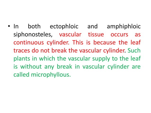 Types of stele and stelar evolution | PDF | Biological Sciences | Science