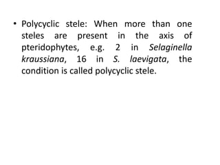 Types of stele and stelar evolution | PDF