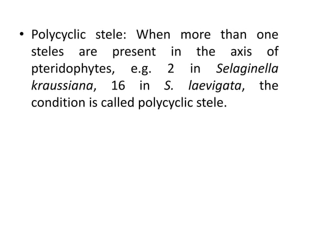Types of stele and stelar evolution | PDF | Biological Sciences | Science