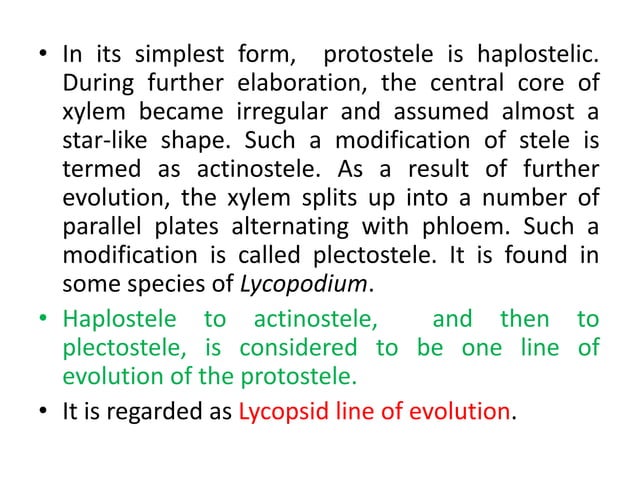 Types of stele and stelar evolution | PDF | Biological Sciences | Science