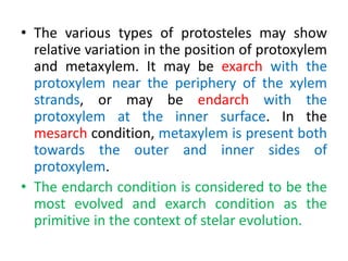 Types of stele and stelar evolution | PDF
