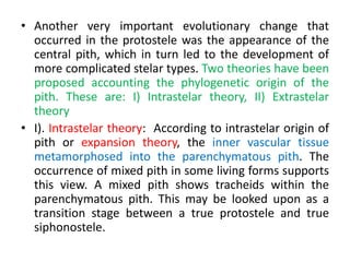 Types of stele and stelar evolution | PDF