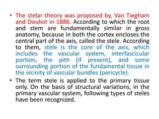 Types of stele and stelar evolution | PDF