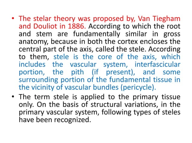 Types of stele and stelar evolution | PDF | Biological Sciences | Science