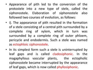 Types of stele and stelar evolution | PDF