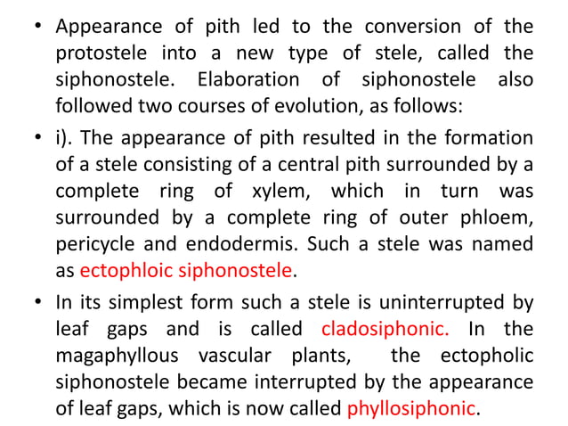 Types of stele and stelar evolution | PDF | Biological Sciences | Science