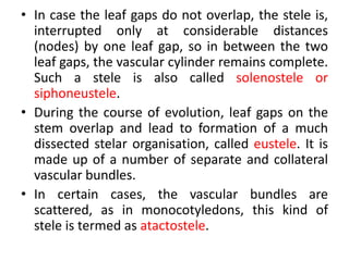 Types of stele and stelar evolution | PDF