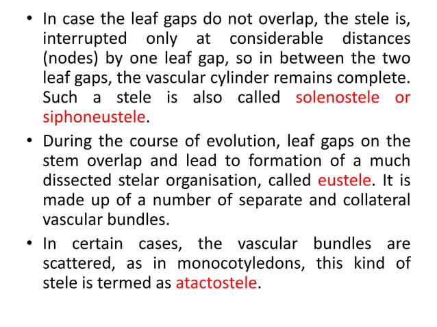 Types of stele and stelar evolution | PDF | Biological Sciences | Science
