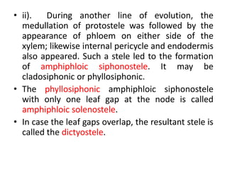 Types of stele and stelar evolution | PDF