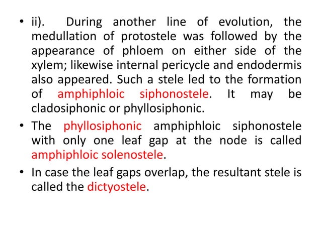 Types of stele and stelar evolution | PDF | Biological Sciences | Science