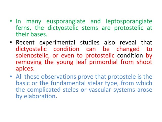 Types of stele and stelar evolution | PDF | Biological Sciences | Science