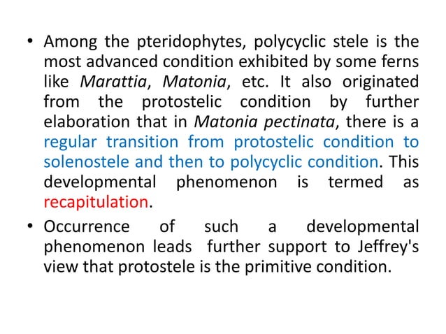 Types of stele and stelar evolution | PDF | Biological Sciences | Science