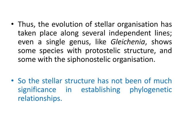 Types of stele and stelar evolution | PDF | Biological Sciences | Science