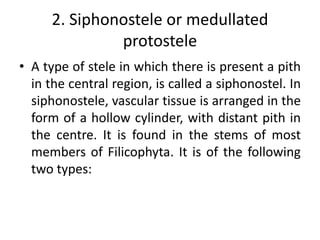 Types of stele and stelar evolution | PDF | Biological Sciences | Science
